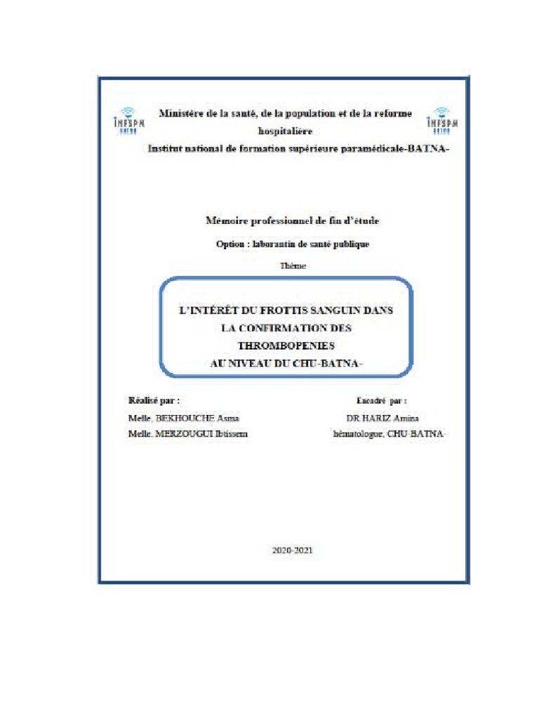 Memoire Pdf