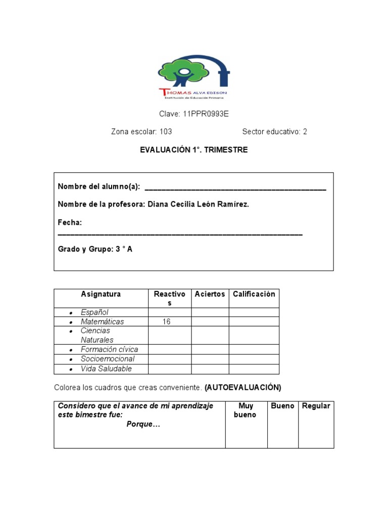 Examen Segundo Trimestre 3ro Prim | PDF | Telaraña | Araña