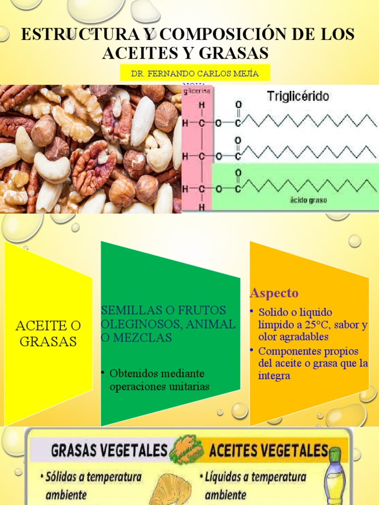 Estructura y Composición de Los Aceites y Grasas - Copia | PDF ...