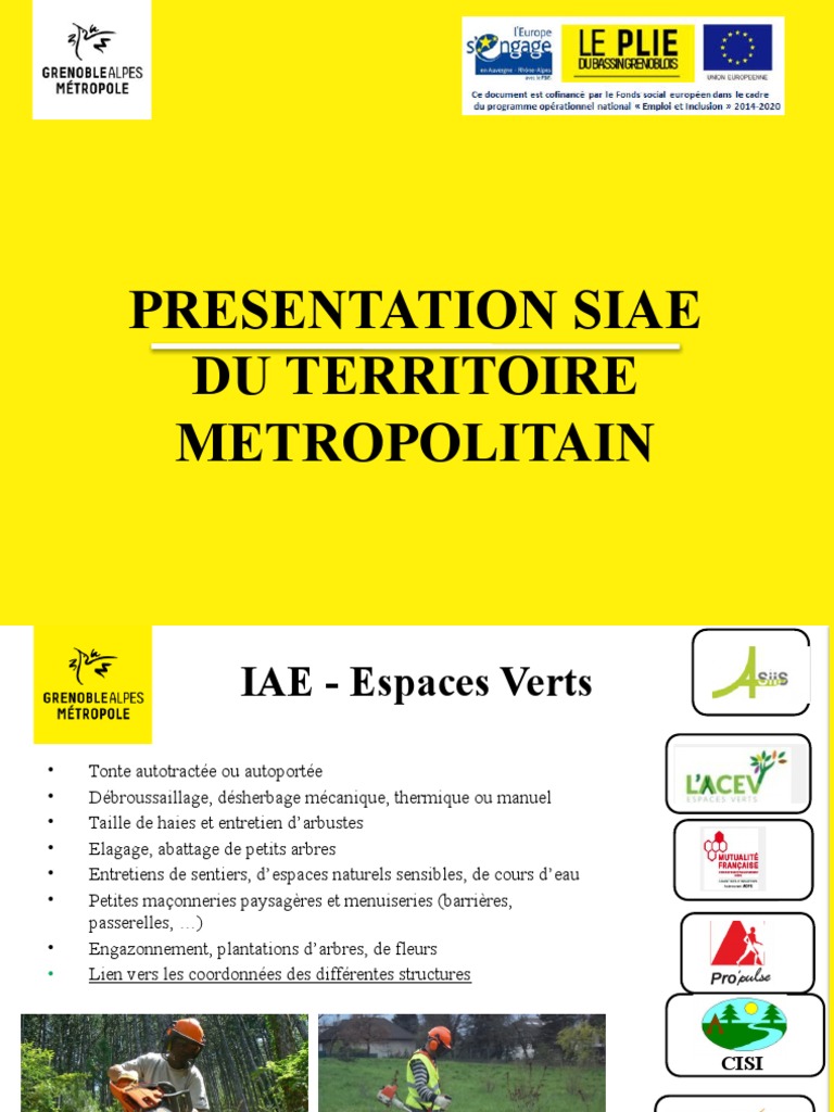Presentation Des SIAE | PDF
