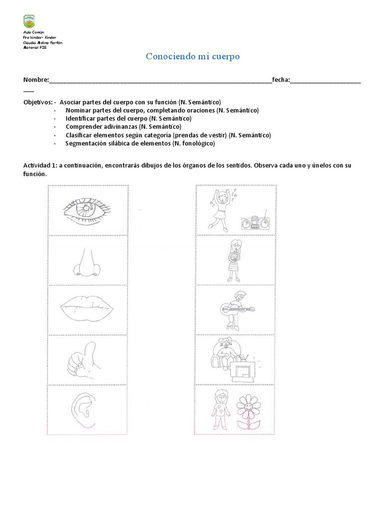 Conociendo Mi Cuerpo | PDF