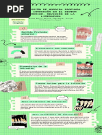 BS-LS-0161-es - Blue Sky Bio Plan User Manual - Attachment Rev 0 | PDF | Ct Scan | Ventana ...