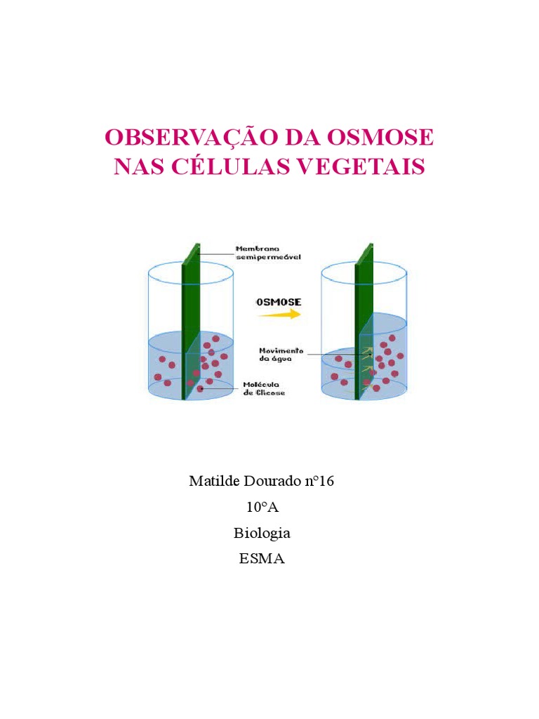 Relatório | PDF | Osmose | Biologia Celular