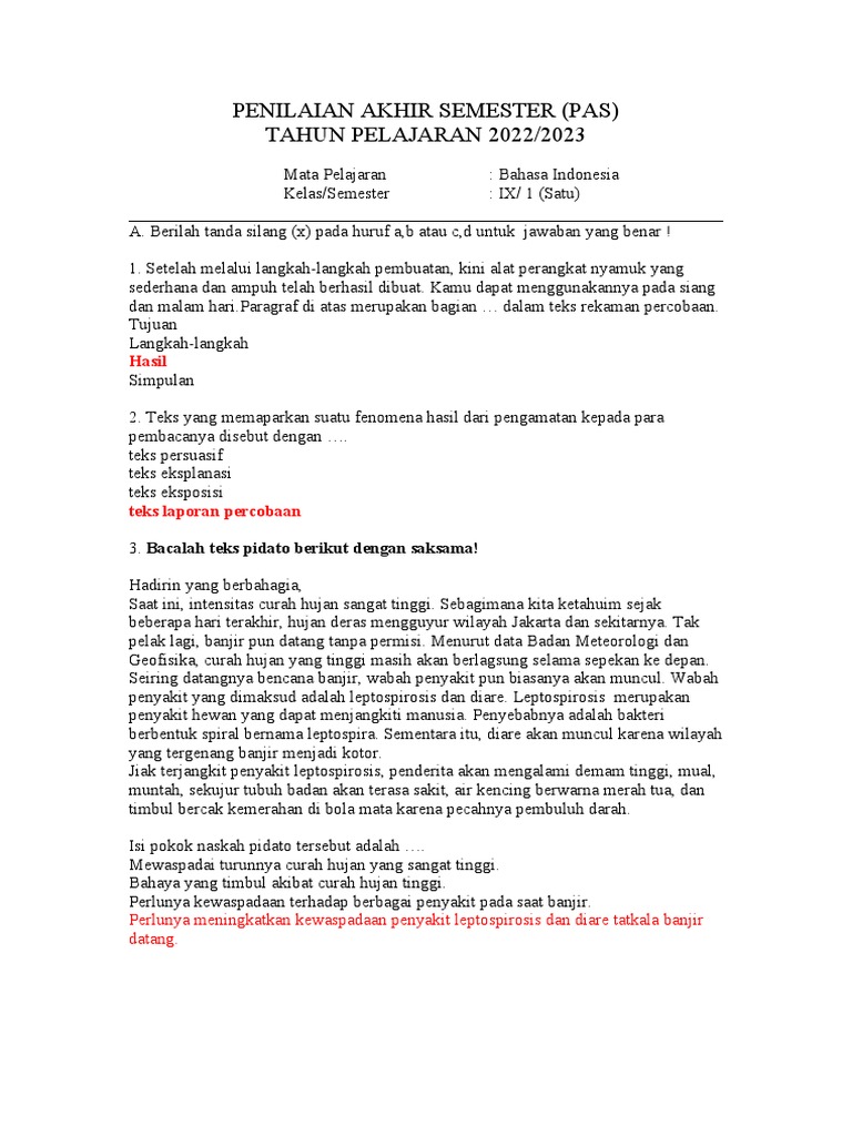 Soal B.indonesia Pas Ix | PDF