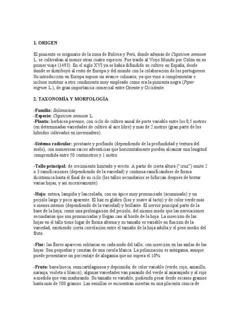 Pimenton | PDF | Fertilizante | Pimiento