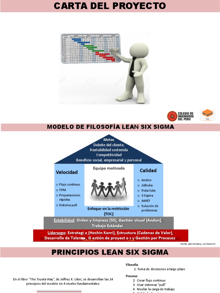 Carta de Proyecto Lean Six Sigma | PDF | Economias | Business