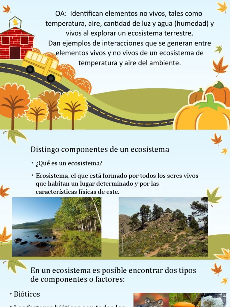 Biotico y Abiotico 24-06 | PDF