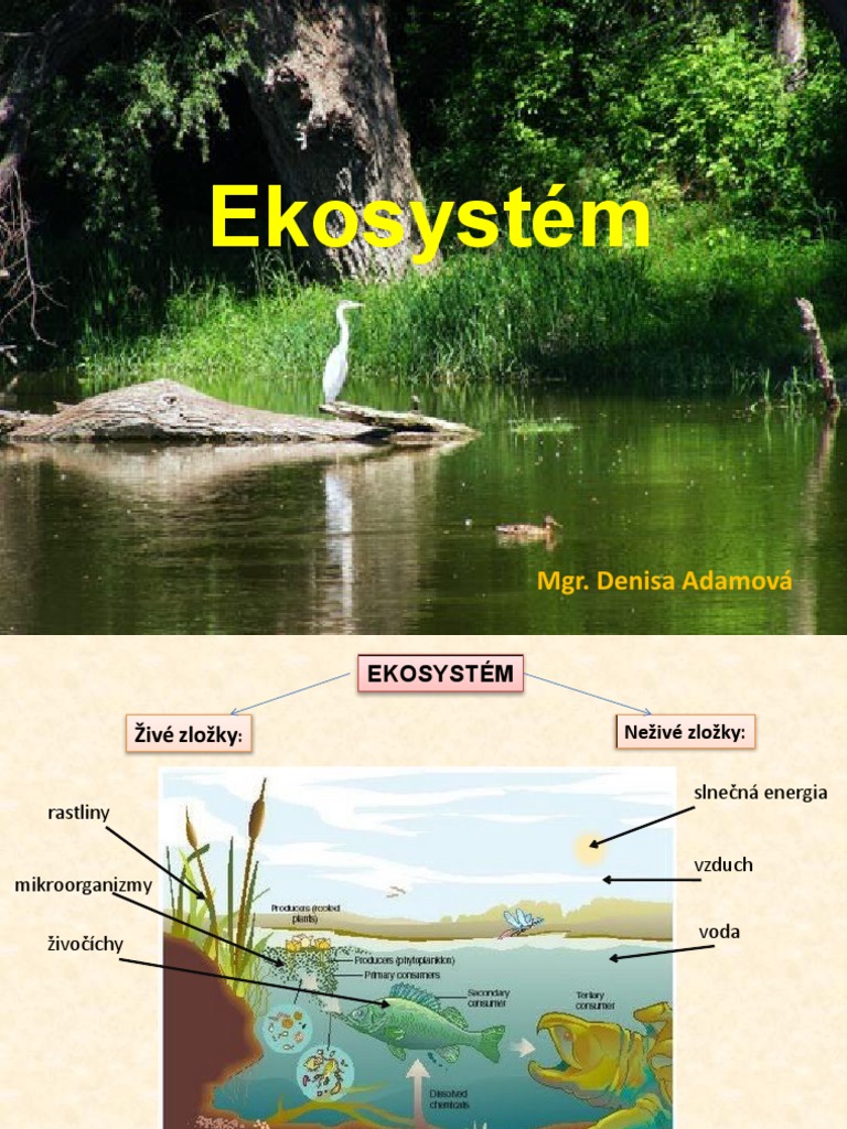 Ekosystem | PDF
