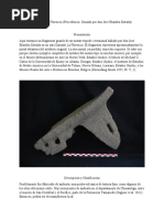 Historia y características del metate | PDF | Ciencia y matemáticas
