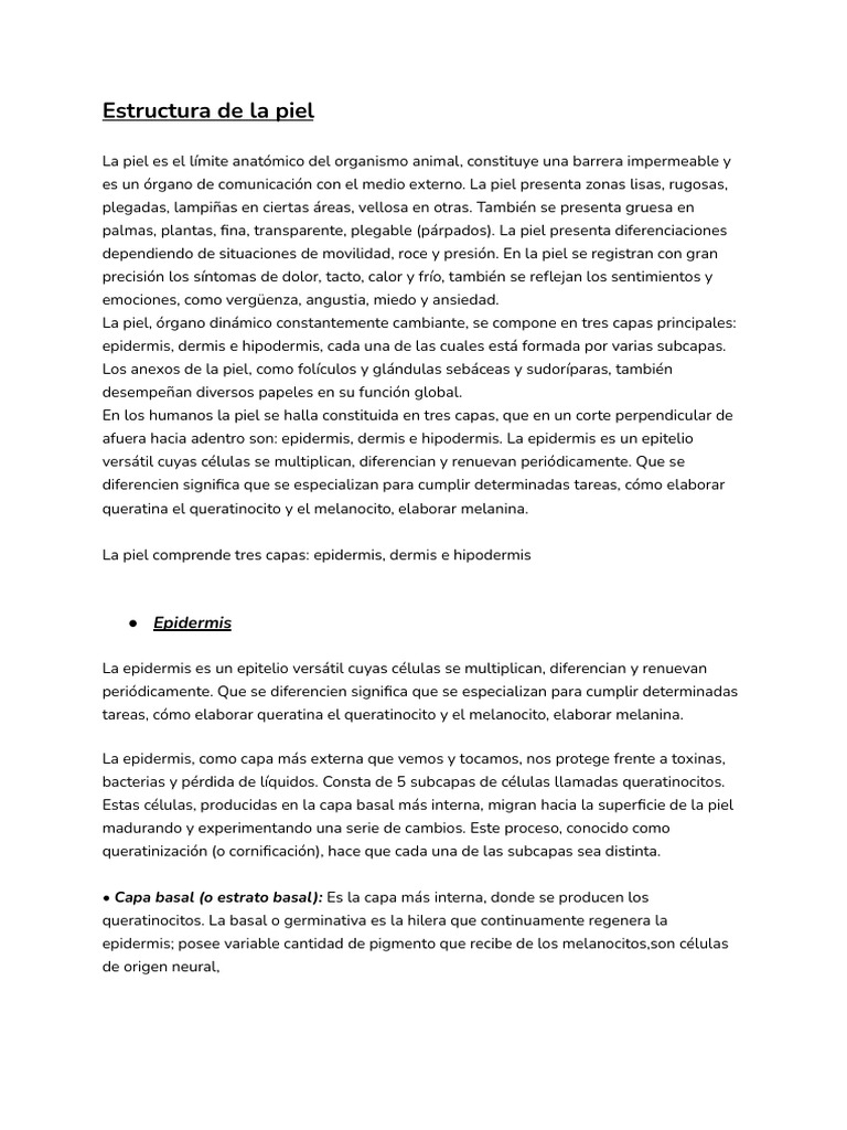 Estructura de La Piel | PDF | Piel | Epidermis