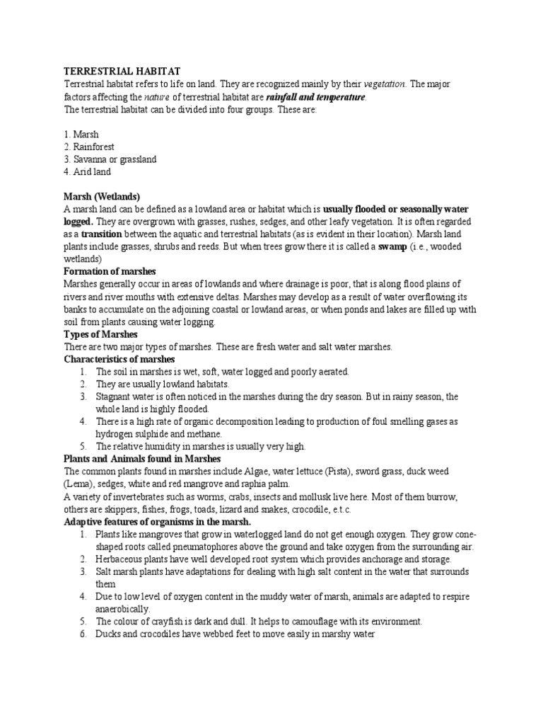 Terrestrial Habitat | PDF | Marsh | Trees