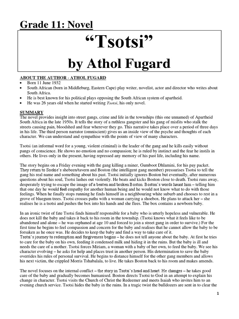 Grade 11 Tsotsi Notes | PDF
