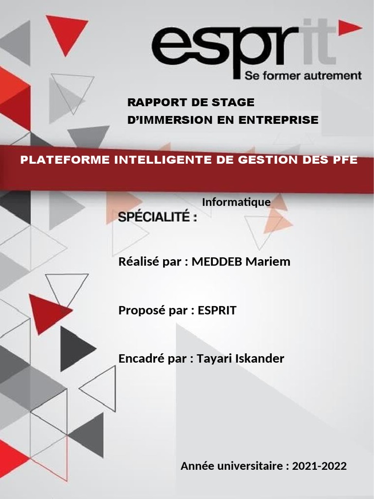 Rappport de Stage Esprit | PDF | Bases de données | Internet
