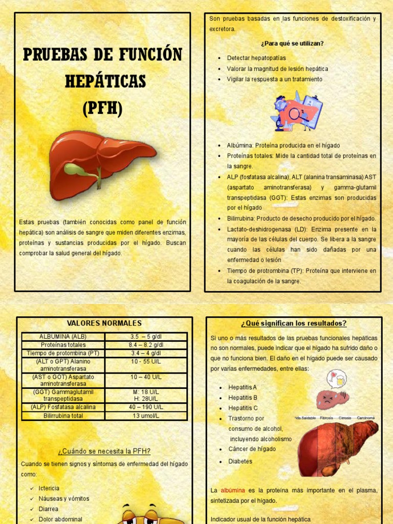 Pruebas de Función Hepáticas (PFH) : ¿Para Qué Se Utilizan? | PDF