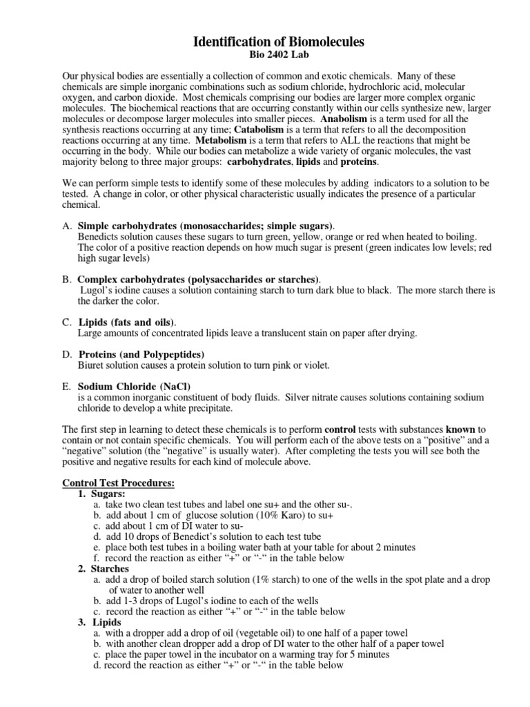 2402lab - ID of Biomolecule | PDF | Metabolism | Chemical Reactions