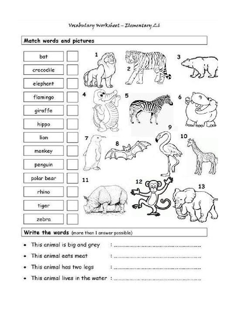 Wild Animals | PDF
