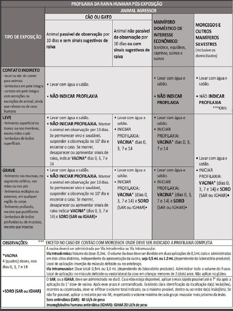 Esquema profilático Raiva 2022 | PDF