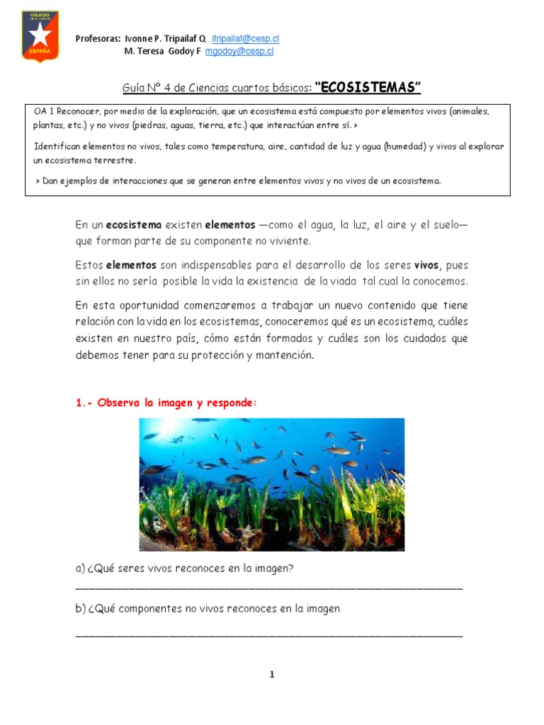 2 Ecosistema Cuarto | PDF | Ecosistema | Organismos