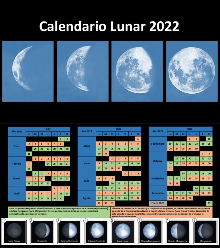 Calendario Lunar 2022 para Cultivos | PDF | Calendario | Luna