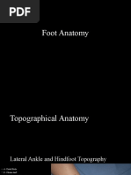 Footand Ankle Anatomy Labeling Lab | PDF | Foot | Ankle