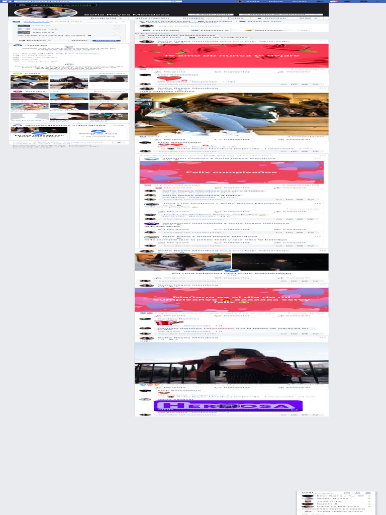 Sofia Reyes Mendoza | PDF