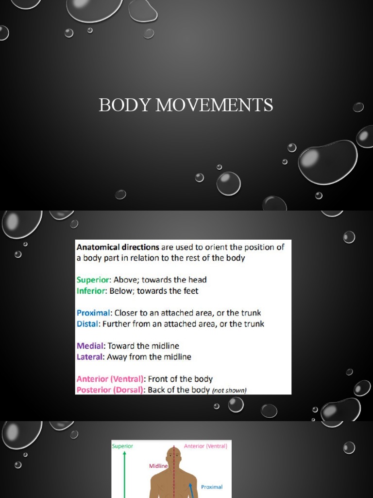 Body Movements | PDF