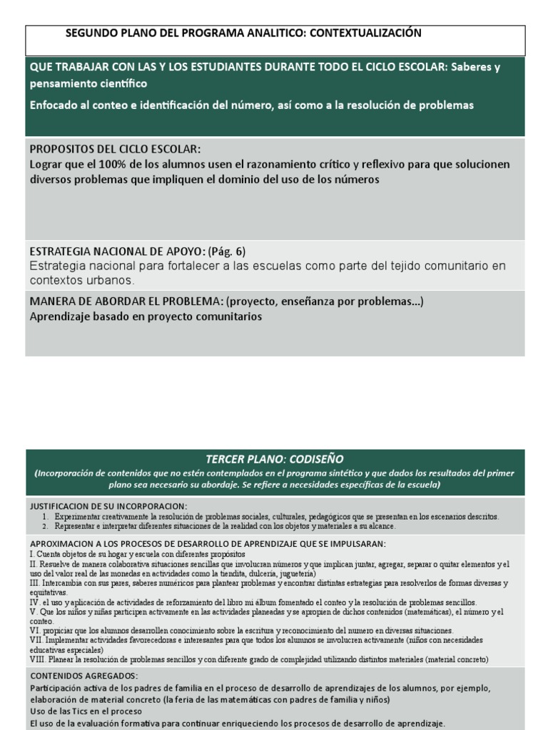 Programa Analitico Pdf Aprendizaje Enseñando
