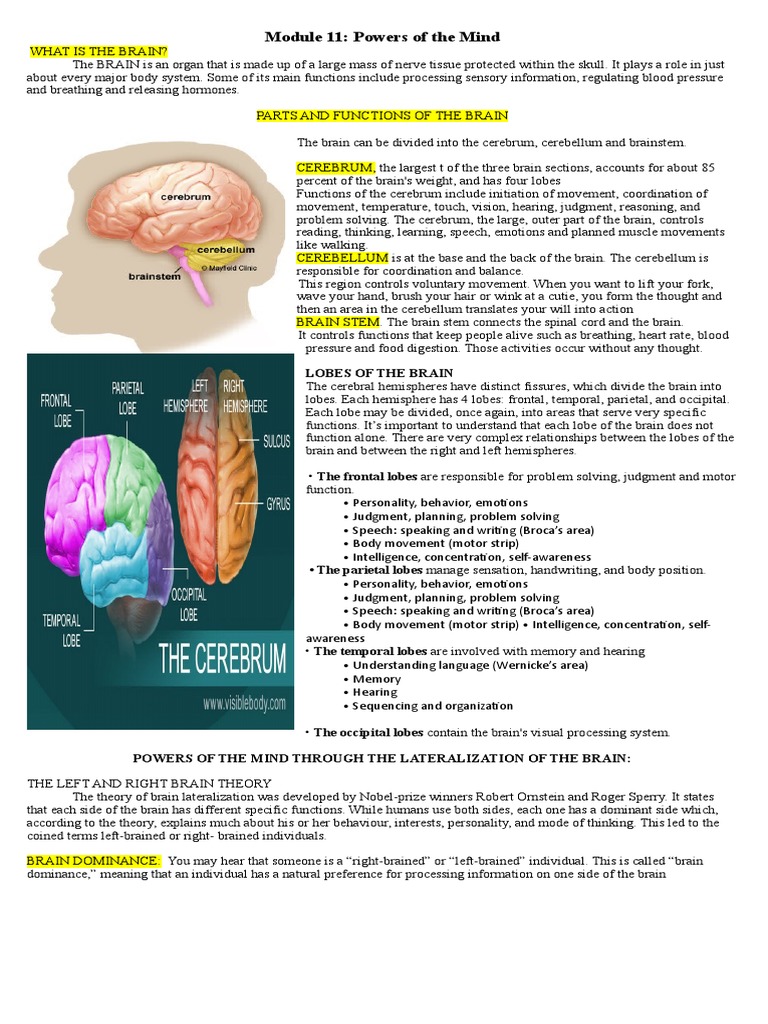 PerDev Module-11 Handout | PDF