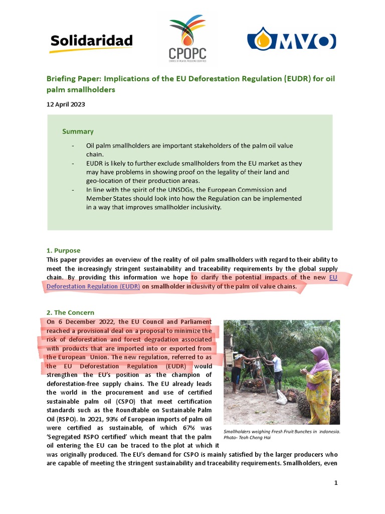 Briefing Paper EUDR and Palm Oil Smallholders | PDF