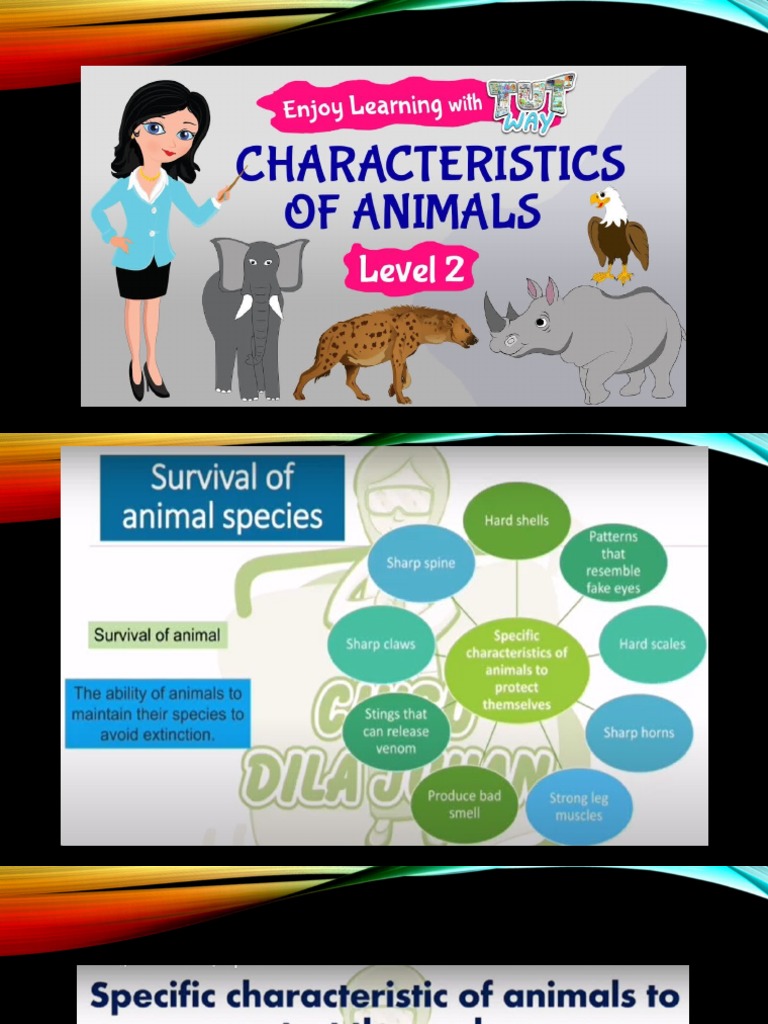 Characteristic of Animal SN Y5 | PDF