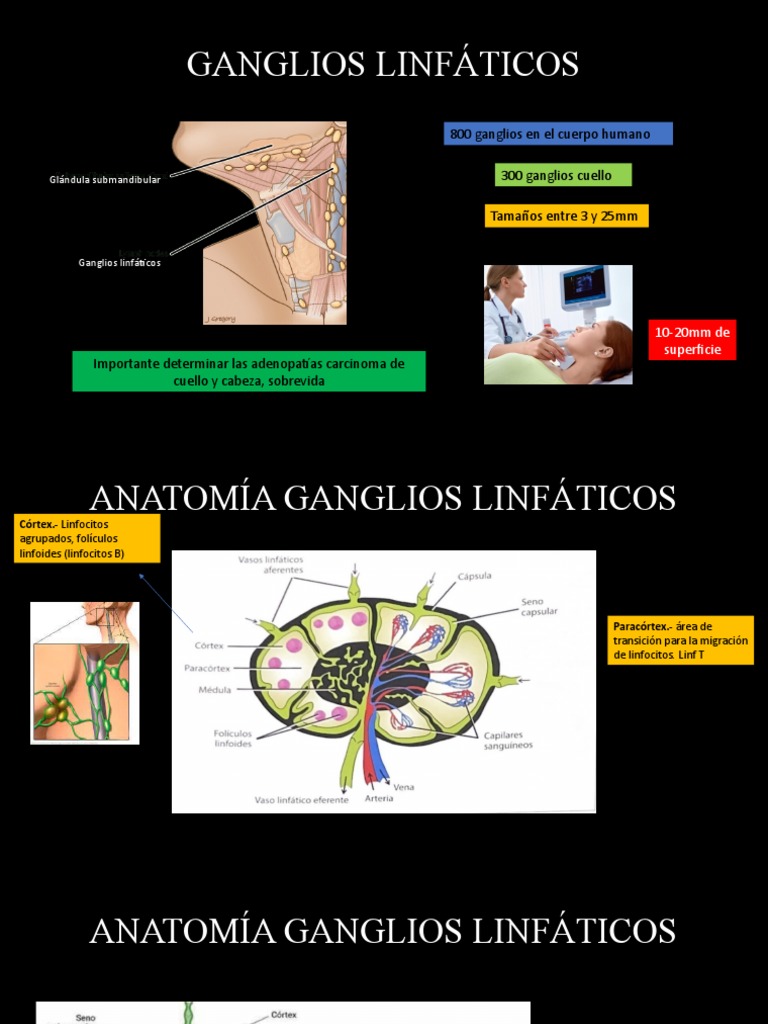 Imagenologia Caracteristicas Benignas y Malignas Ganglios | PDF ...