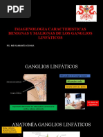 Protocolo Diagnóstico de Las Adenopatías Inguinales | PDF | Infección transmitida sexualmente ...