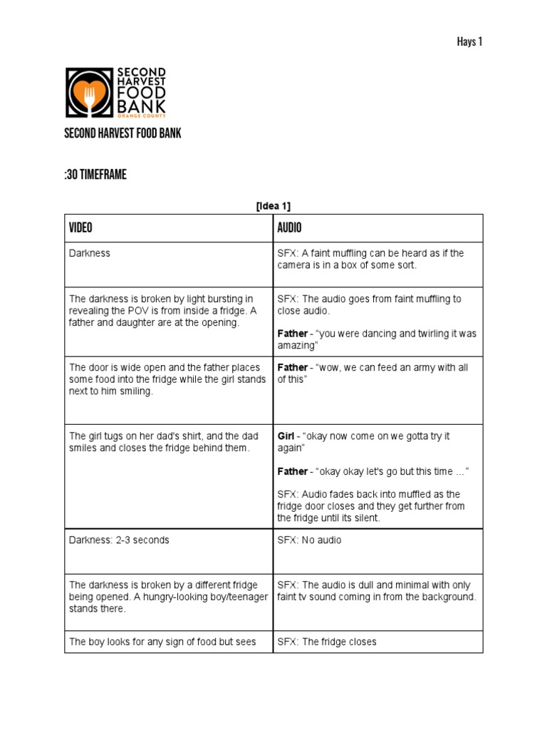 PSA Commercial Script | PDF