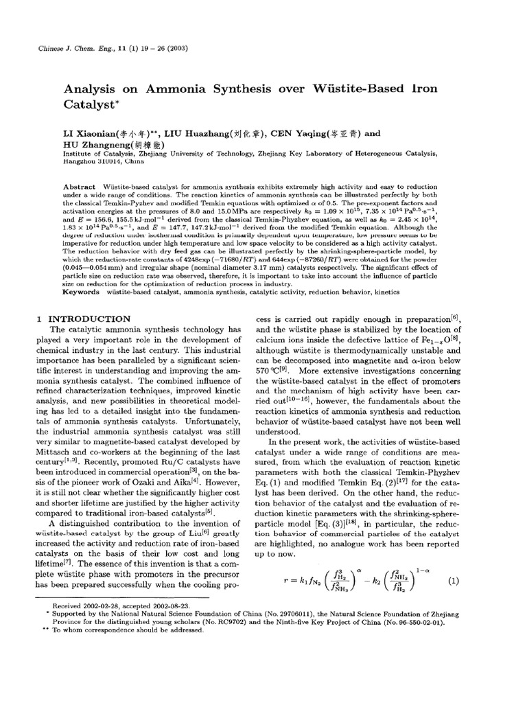 Analysis On NH3 Synthesis Over Wustite-Based Iron Catalyst | PDF
