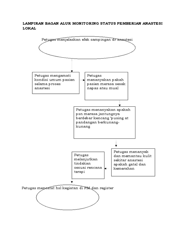 Lampiran Bagan Alur Monitoring Status Pemberian Anastesi Lokal | PDF