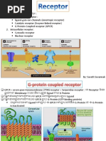 Cell Transport Concept-Map | PDF | Membrane Biology | Life Sciences