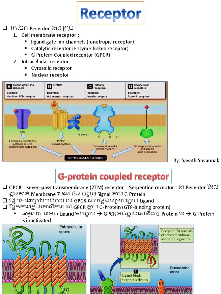 4 Receptor | PDF | Biology | Biotechnology
