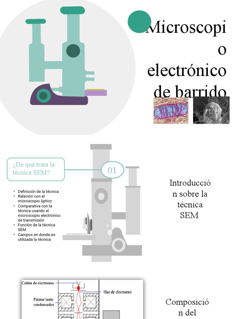 Microscope Infographics by Slidesgo | PDF