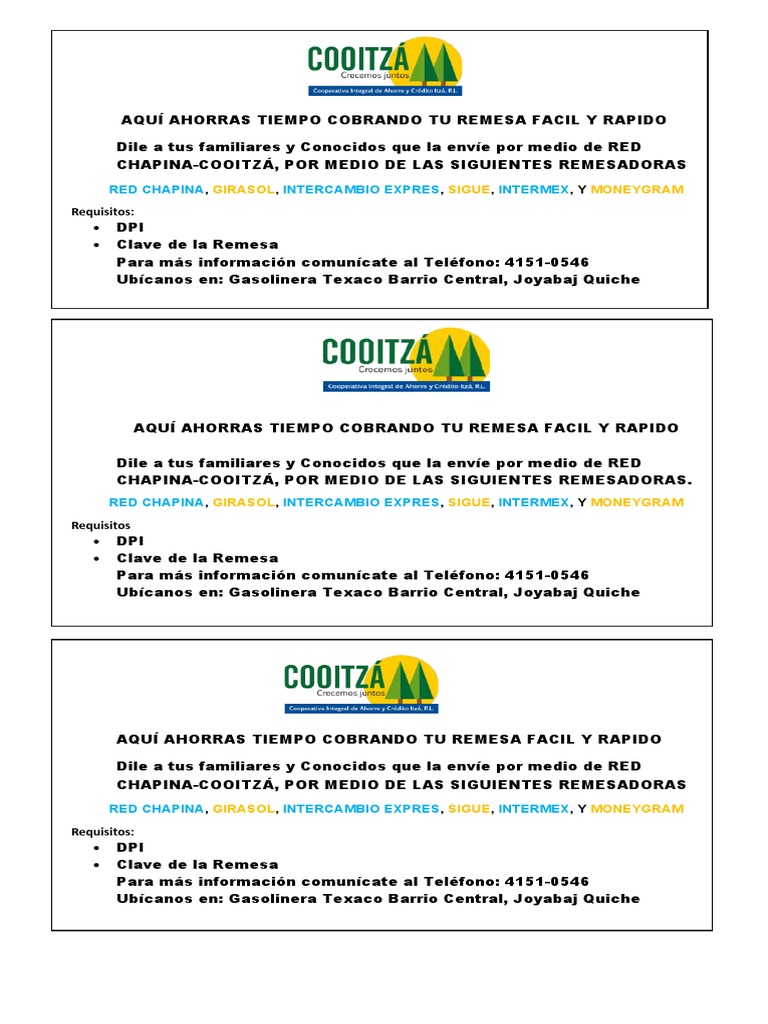 Volantes de Remesas | PDF
