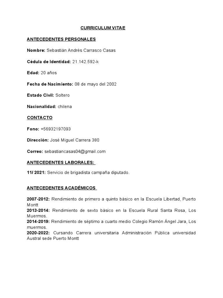 CURRICULUM VITAE Sebastián Carrasco Adm | PDF