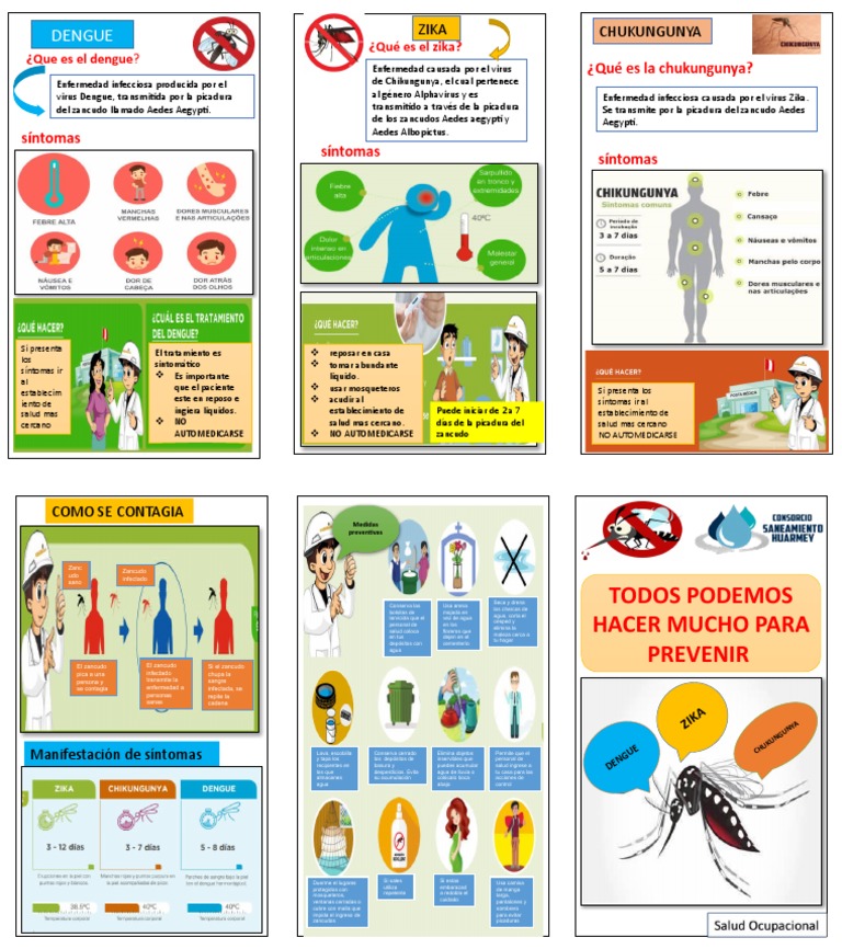 Dengue Triptico | PDF