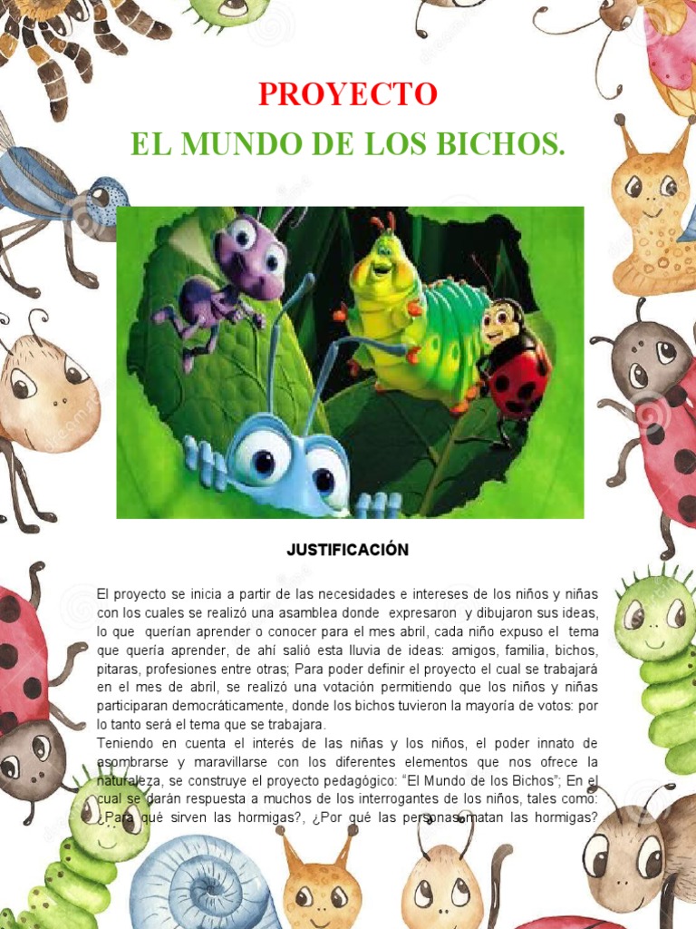 Proyecto "El Mundo de los Bichos" | PDF | Insectos | Crustáceo