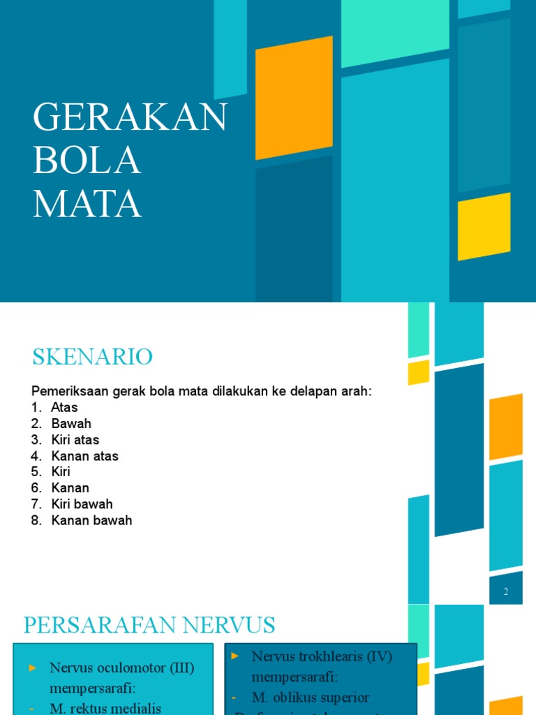 Gerakan Bola Mata | PDF