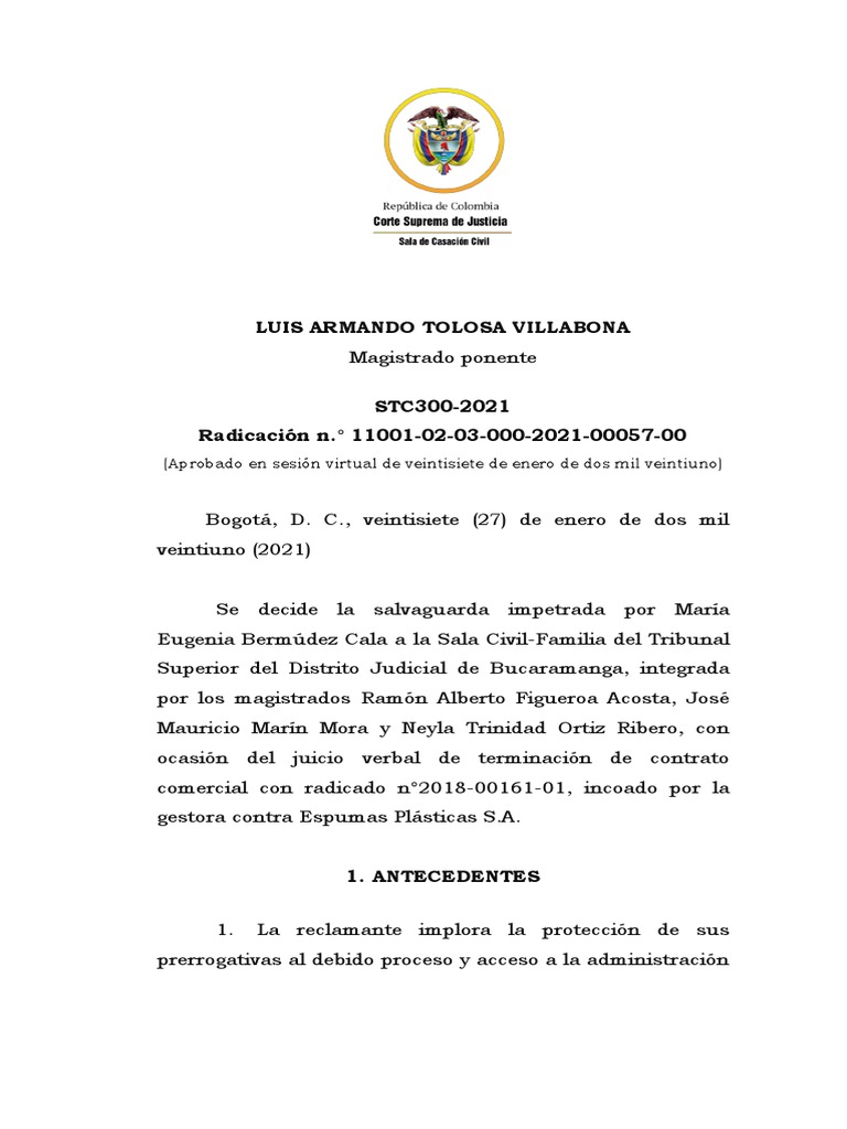 STC300 2021 | PDF | Mercado (economía) | Pago de regalías