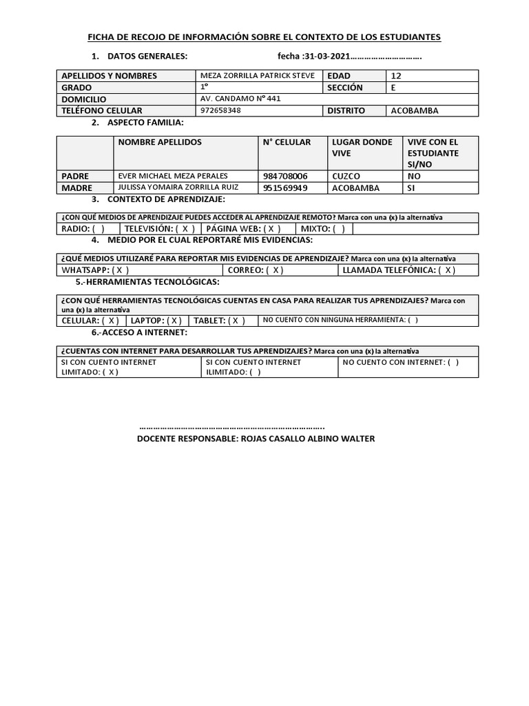 Ficha para La Entrevista-Diágnostico Situacional - Patrick Meza Zorrilla | PDF