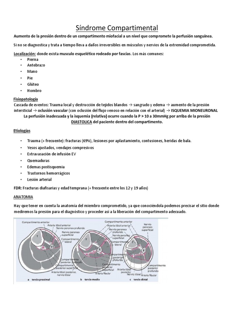 Síndrome Compartimental | PDF | Medicina CLINICA | Enfermedades y ...