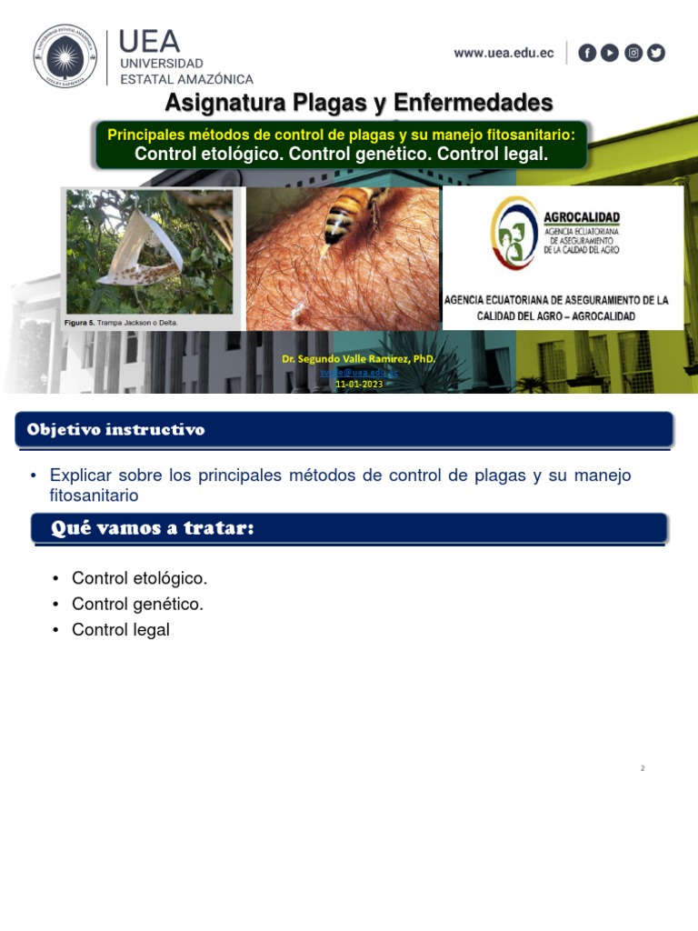Control Etológico de Plagas con Feromonas | PDF | Insectos | Feromona