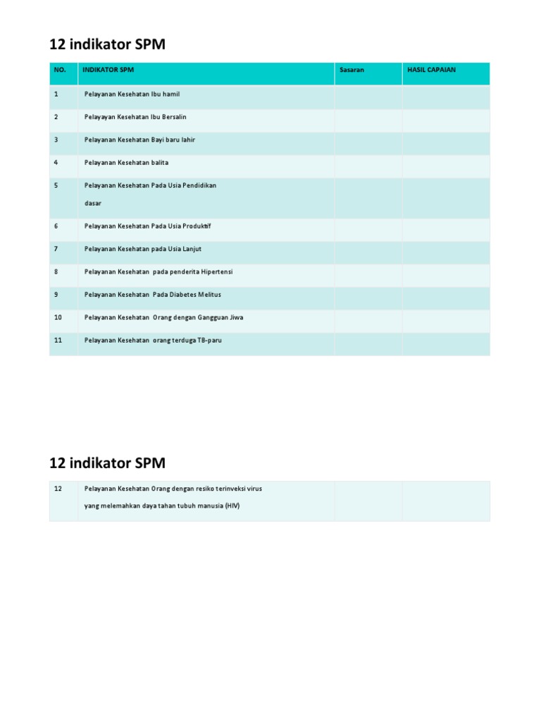 12 Indikator SPM | PDF