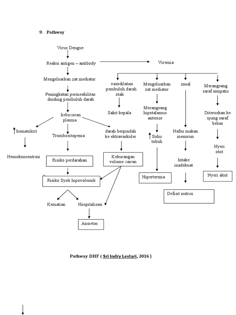 298667938-Pathway-DHF | PDF
