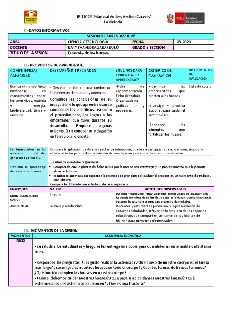 Cuidado De Los Huesos Pdf Aprendizaje Evaluación
